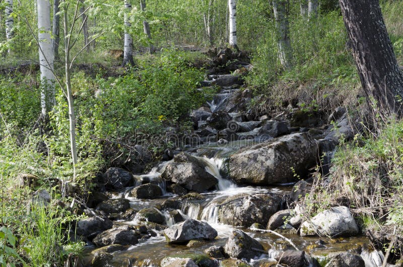 A little stream stock photo. Image of stream, forest - 41447412