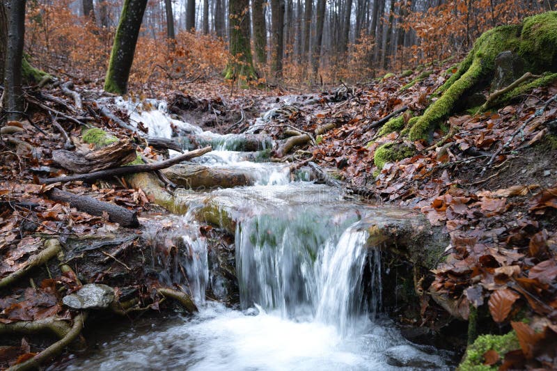 A Little Stream Running Down the Hill in the Fall Forest Stock Image ...
