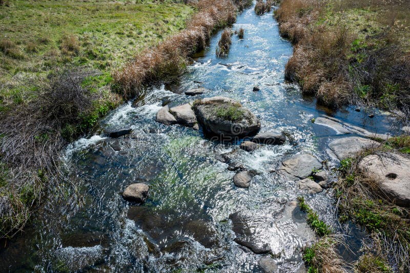 A little stream stock image. Image of little, leaf, watercourse - 291546499