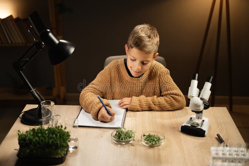Little Student Study Doing a Biological Experiment and Writing Test ...
