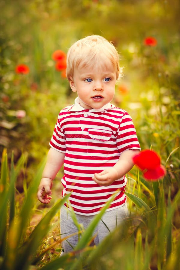 Little summer boy stock image. Image of grass, life, little - 87963531