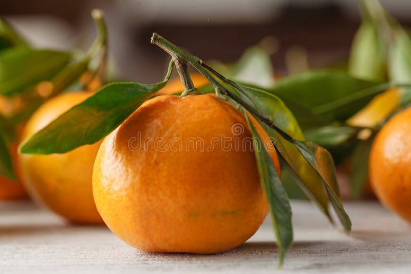 Little Tangerines on Old Rustic Wood Table Stock Photo - Image of ...