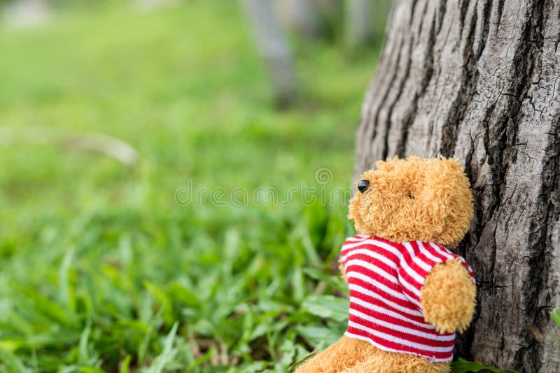 A little teddy bear. stock photo. Image of romantic, plush - 74974736
