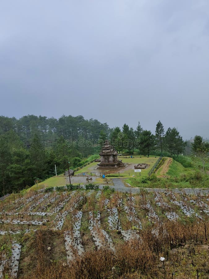 The Little Temple at Gedong Songo Place Stock Photo - Image of temple ...