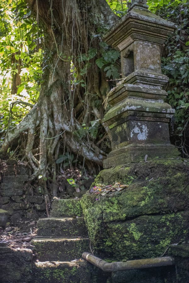 Little Temple in the Jungle in Bali. Stock Image - Image of wild, bali ...