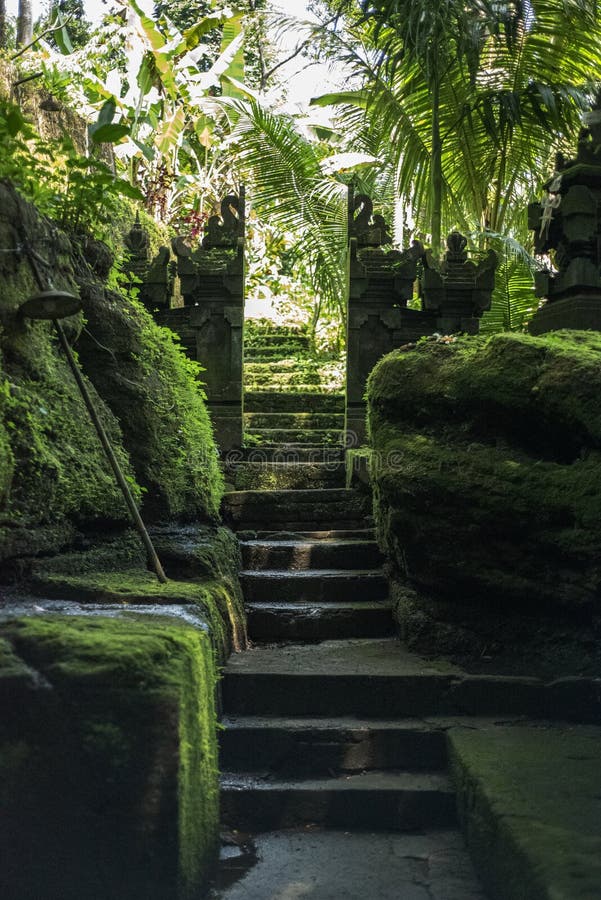 Little Temple in the Jungle in Bali. Stock Photo - Image of exotic ...