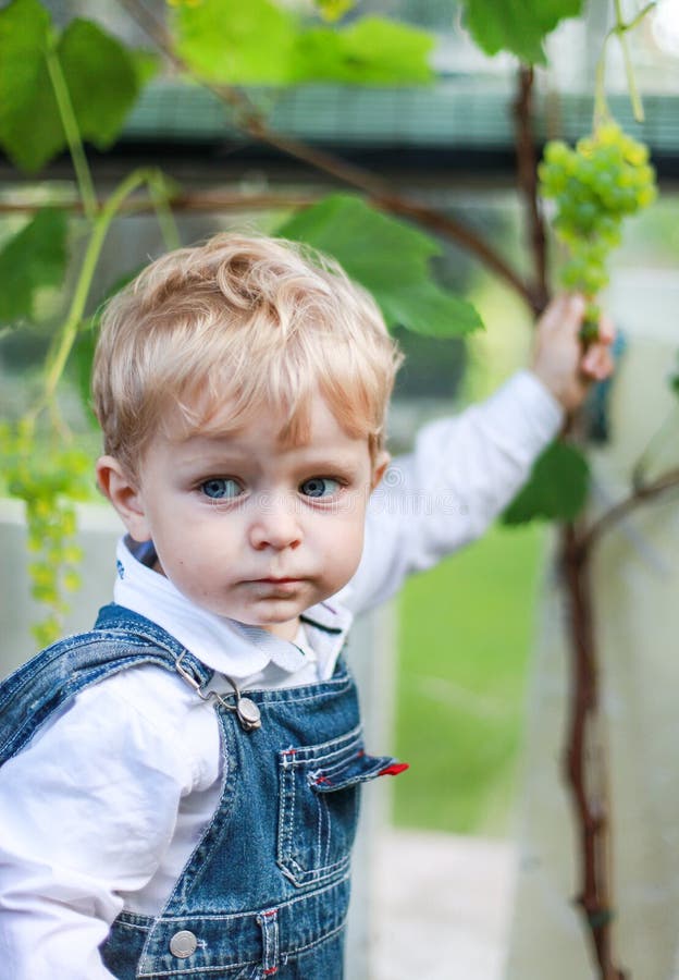 Little Toddler Boy Eating Grape Stock Image - Image of innocent, human ...