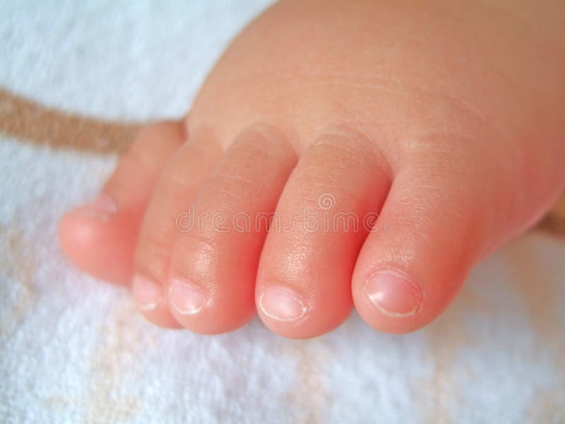 Little Toes Picture. Image: 6489229