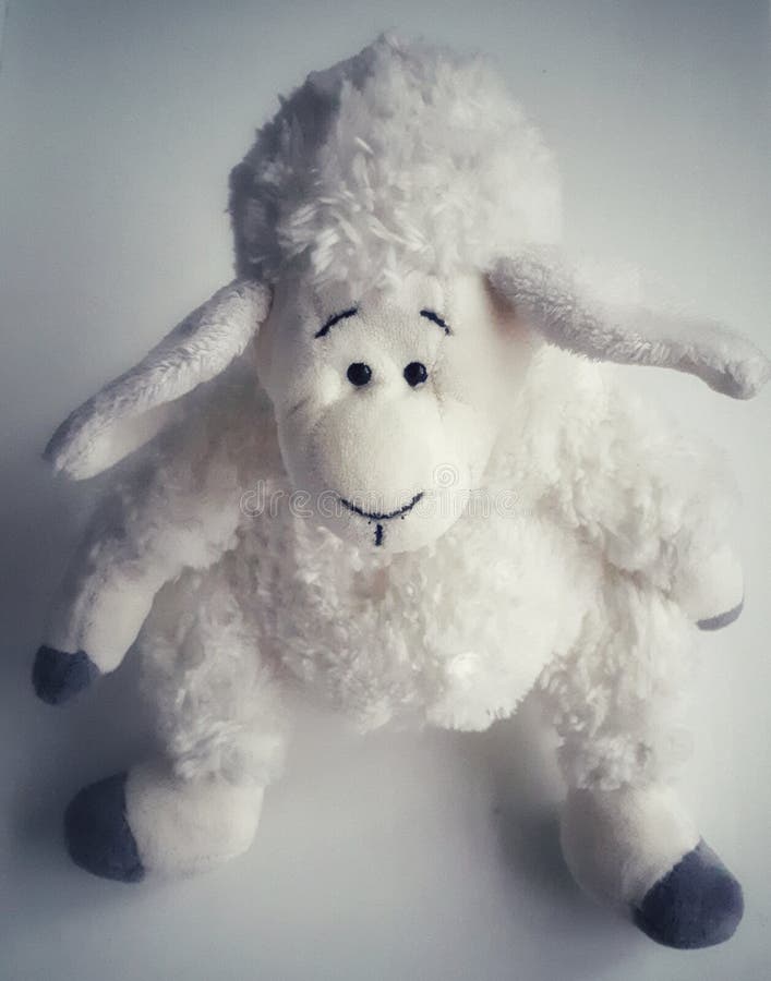 Little toy stock photo. Image of lamb, little, soft - 125314844