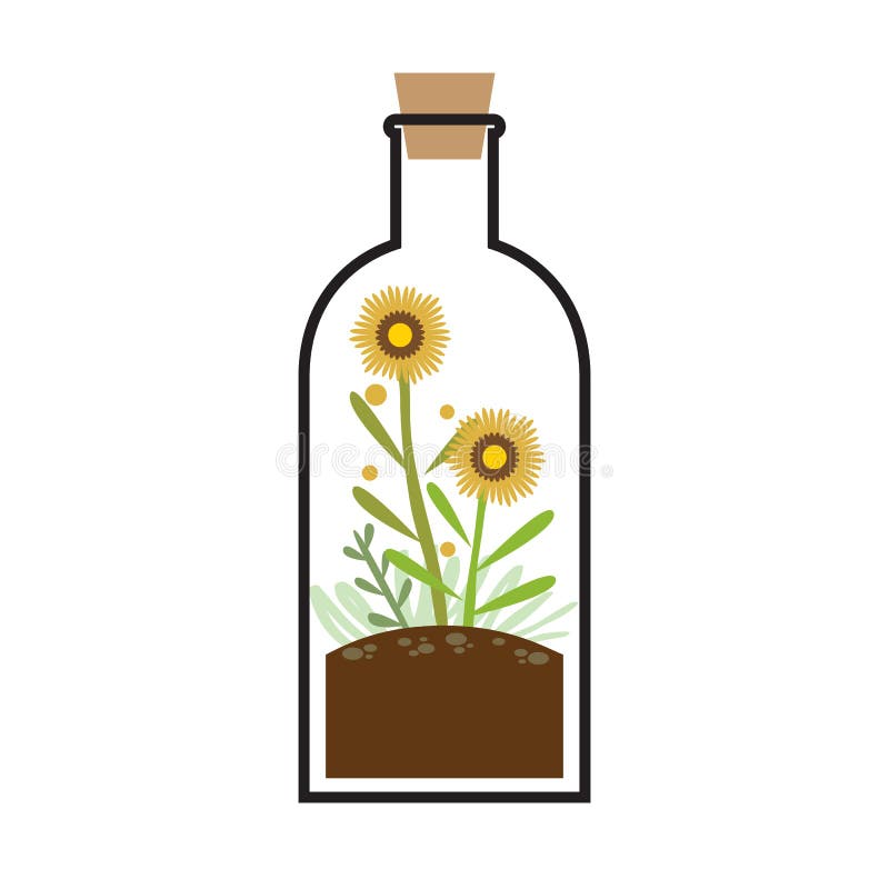 Little Tree in a Bottle stock vector. Illustration of glass - 46979042