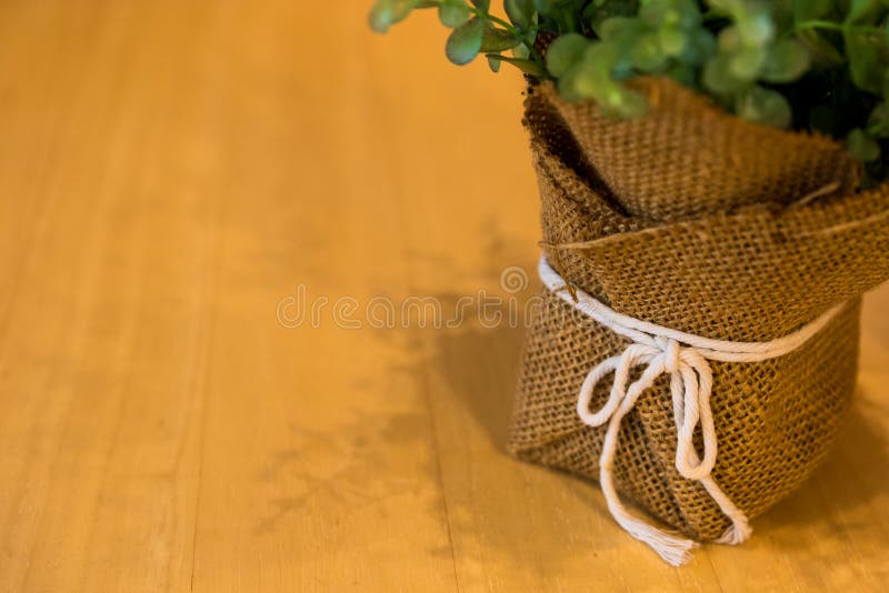 Little Tree in the Brown Sack. Stock Image - Image of blossom, close ...