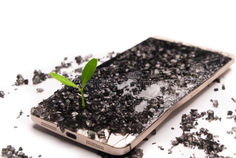 Little Tree Growing on the Broken Smartphone, Environment, Knowledge ...