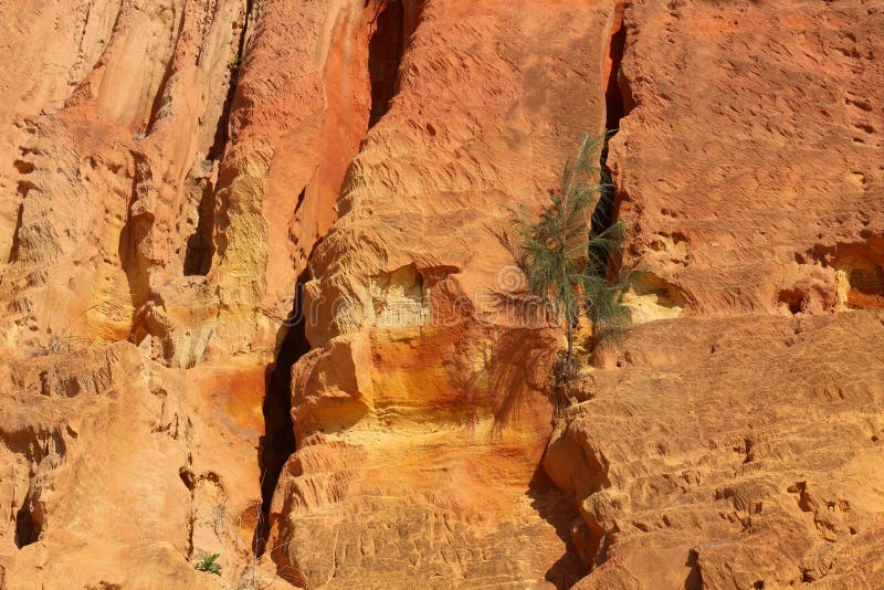 Colored Sand Cliffs at Rainbow Beach, Queensland, Australia Stock Photo ...