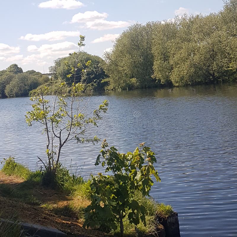 Overlooking Water Conservancy of Dujiangyan Stock Image - Image of ...