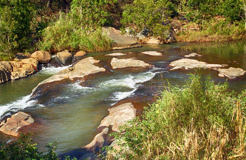 Little Usutu River, Swaziland Stock Image - Image of fynbos, ecology ...