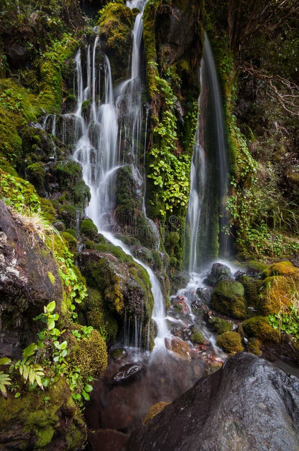 Little Waitonga Falls stock photo. Image of tourist, foliage - 62911906