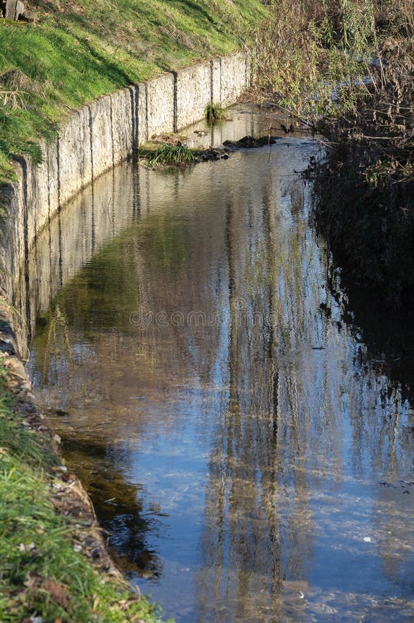Little Water Stream in the Jungle Stock Photo - Image of emerald ...