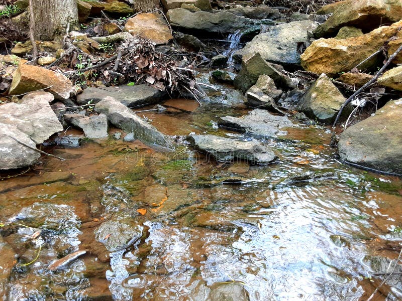 Little water fall in woods stock photo. Image of water - 180297650