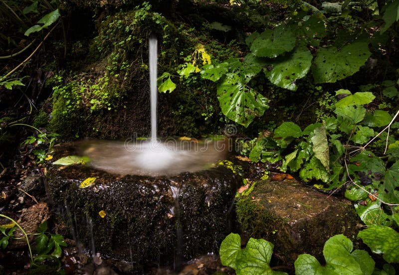 Little Water Spring stock image. Image of rock, flow - 72725069