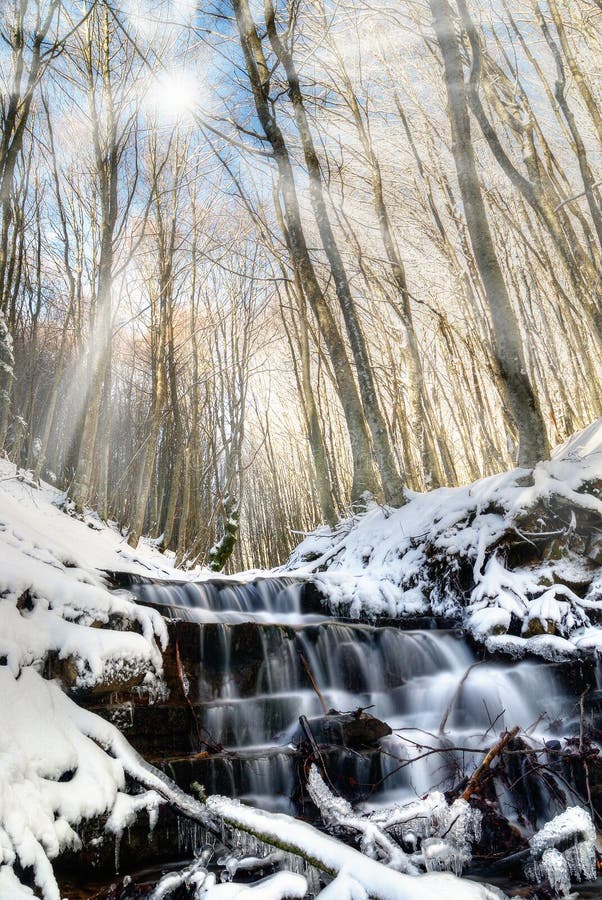 Little waterfall stock photo. Image of forest, scenic - 21221266
