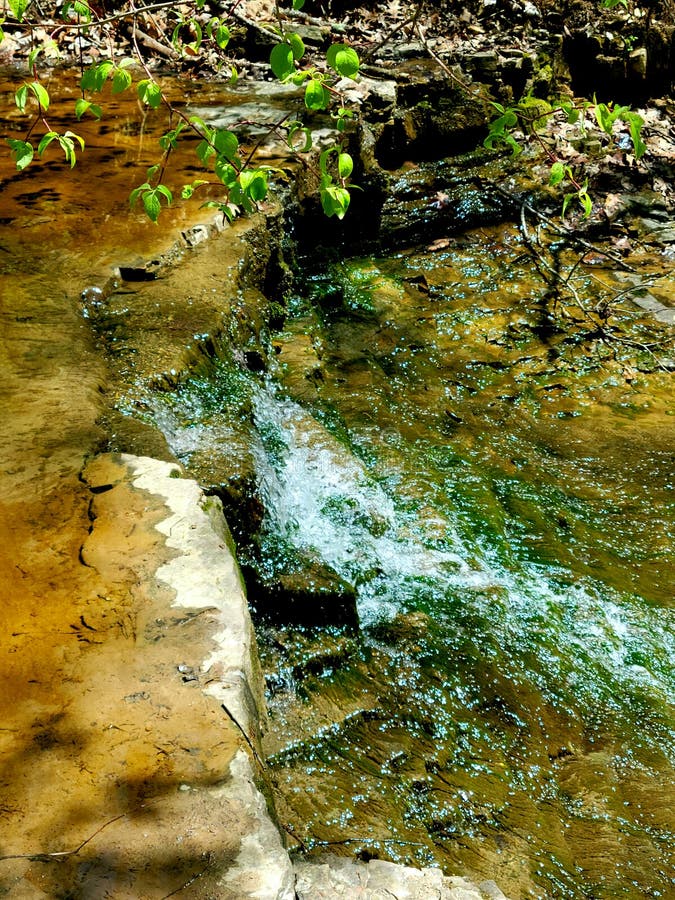 Little Waterfall Bubbling in a Stream in the Forest Stock Image - Image ...