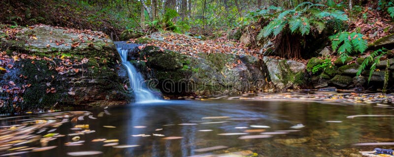 Little Waterfall in the Forest. Long Exposition. Stock Photo - Image of ...