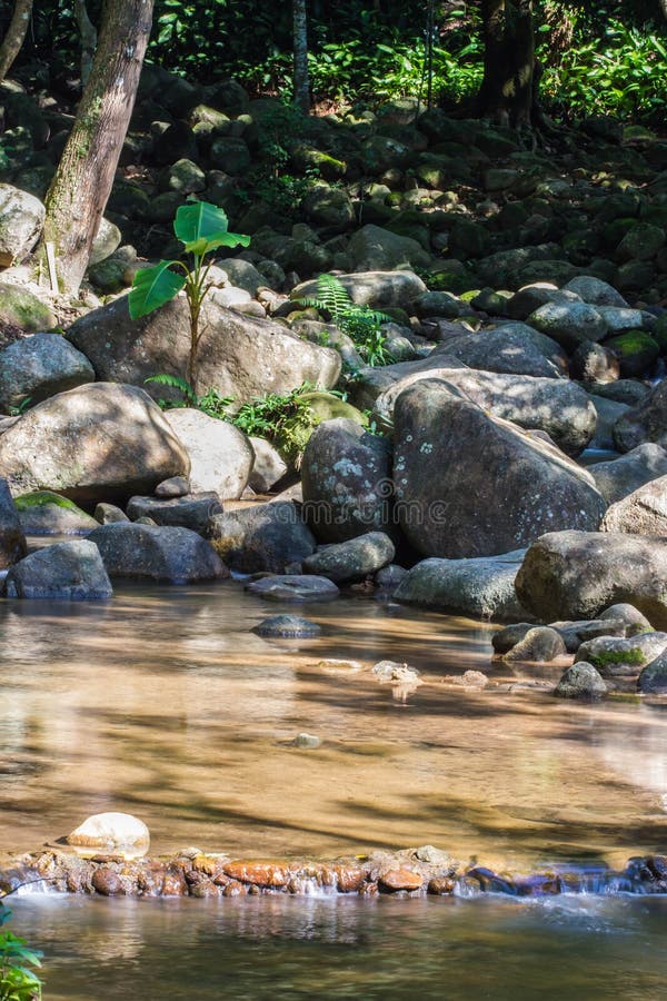 Little Cute Waterfall at North Thailand Stock Photo - Image of green ...