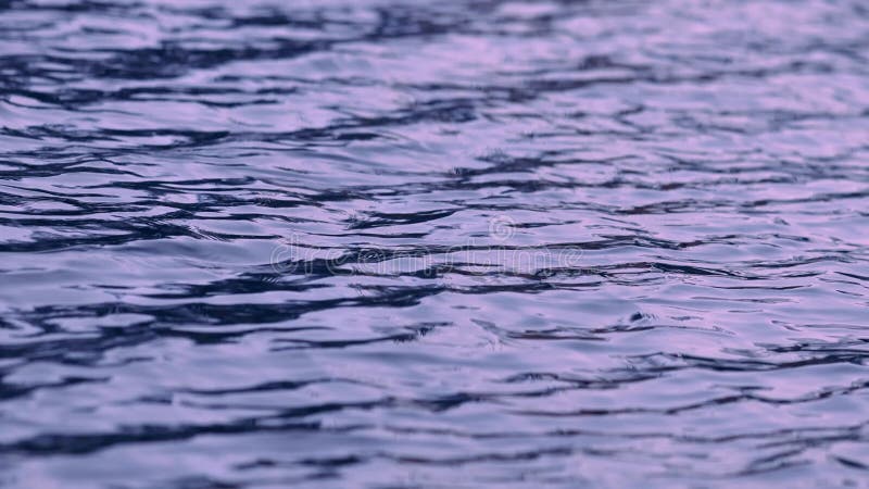 Little Waves on Navy Blue Water Surface Stock Video - Video of navy ...