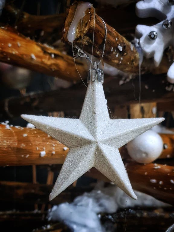 Little white star stock photo. Image of branch, leaf - 263316582