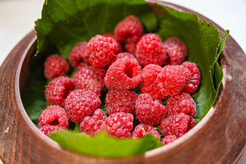 Little Wild and Sour Raspberry Stock Image - Image of dairy, little ...