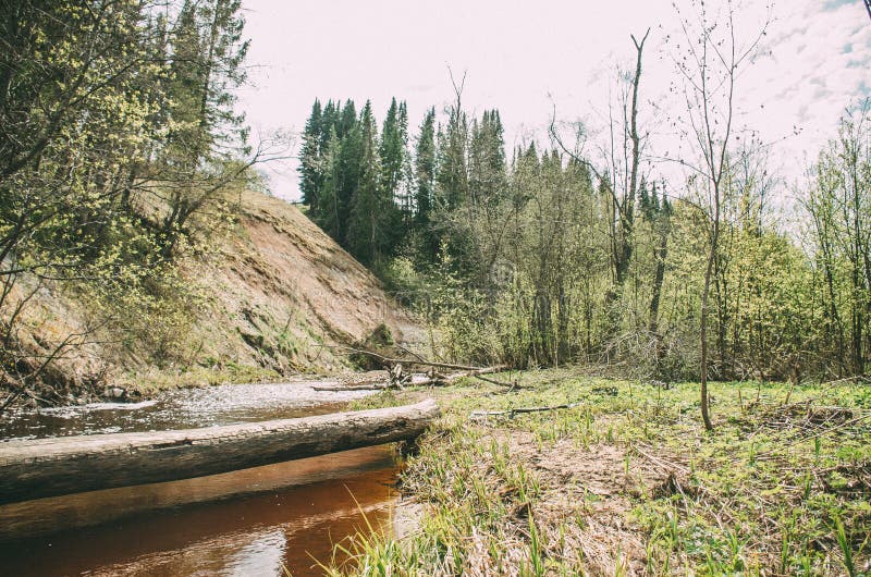 The Little Winding Brook, the View from the High Bank Stock Image ...