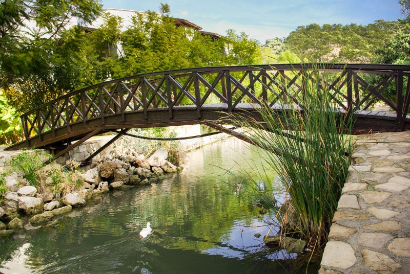 Little Wooden Bridge on the Creek Stock Image - Image of outdoor, green ...