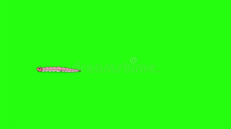 Worm Green Screen Stock Footage & Videos - 247 Stock Videos