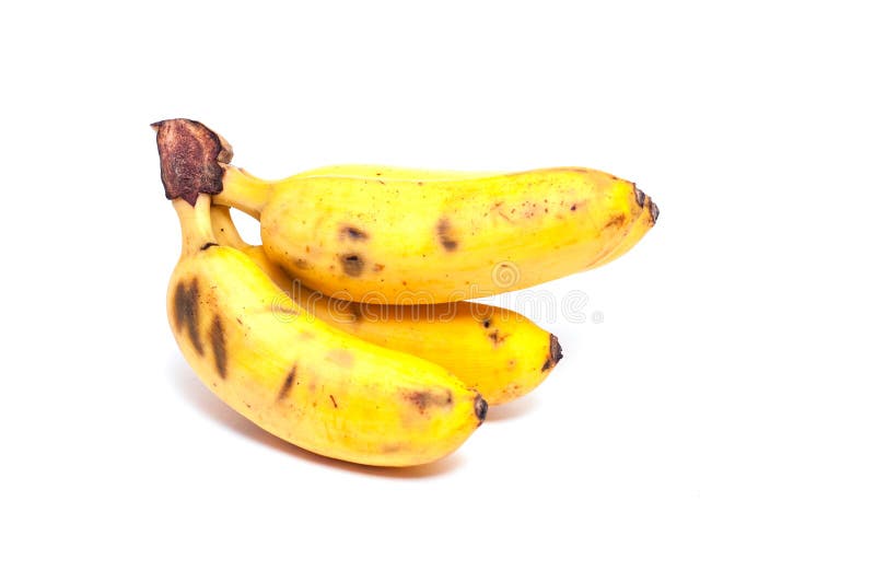 959 Mini Bananas Stock Photos - Free & Royalty-Free Stock Photos from ...