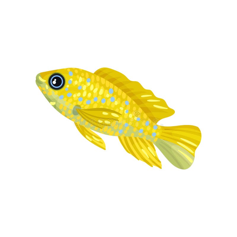 Little Fish Yellow Fin Stock Illustrations – 175 Little Fish Yellow Fin ...