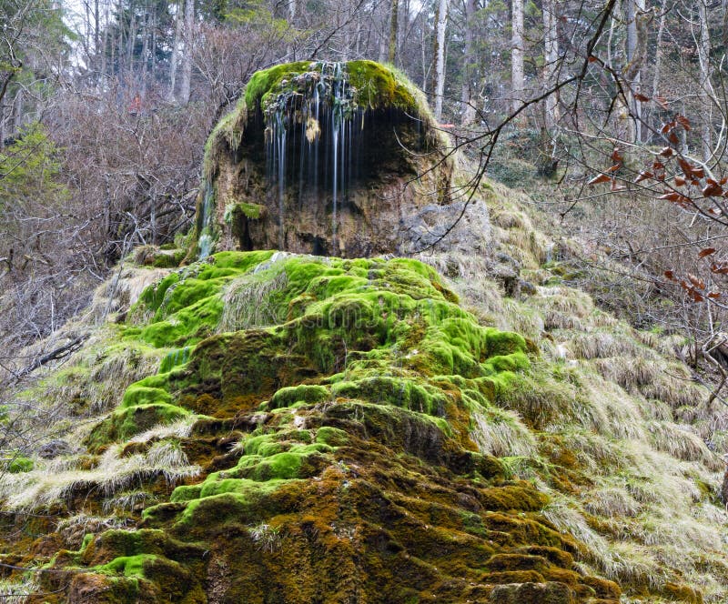 Littles Dripping Stream Runs Over Mossy Slope Stock Image - Image of ...