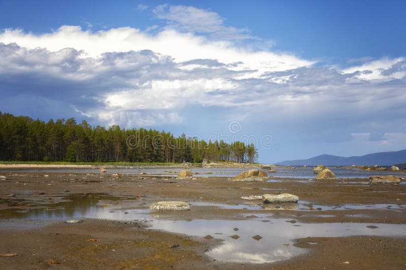 Littoral of the White Sea at Low Tide Stock Photo - Image of coastline ...