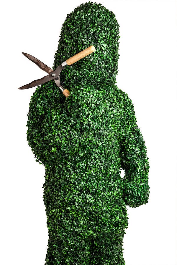 Live Bush Pose Holding Brush Cutter, Isolated on a White Background ...