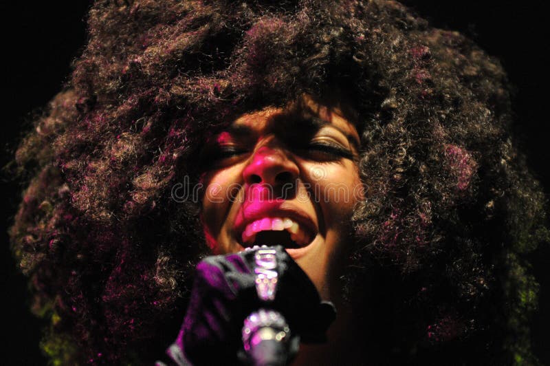 Live concert editorial stock image. Image of avantgarde - 27833684