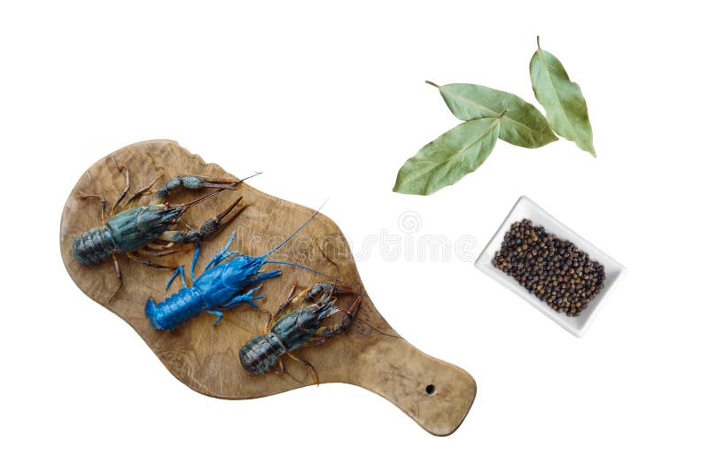 Live Crayfish on a Kitchen Board Next To Spices Pepper and Bay Leaf ...