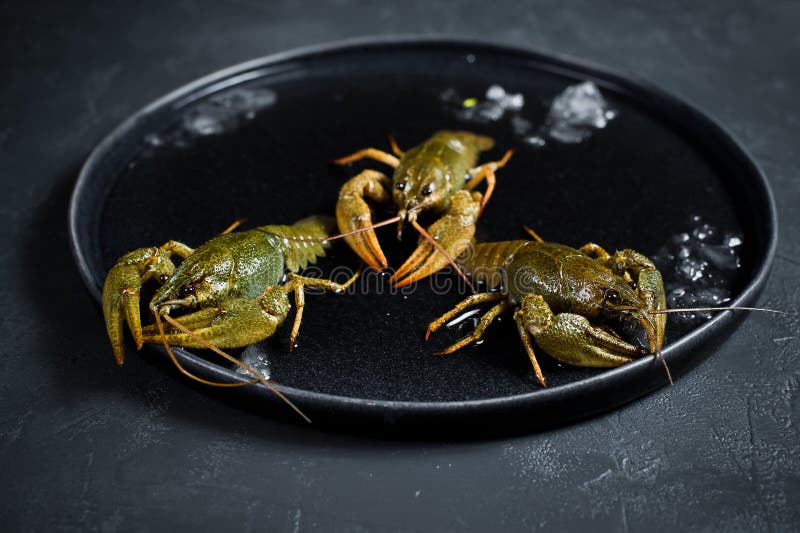 153 Crayfish Side View Stock Photos - Free & Royalty-Free Stock Photos ...