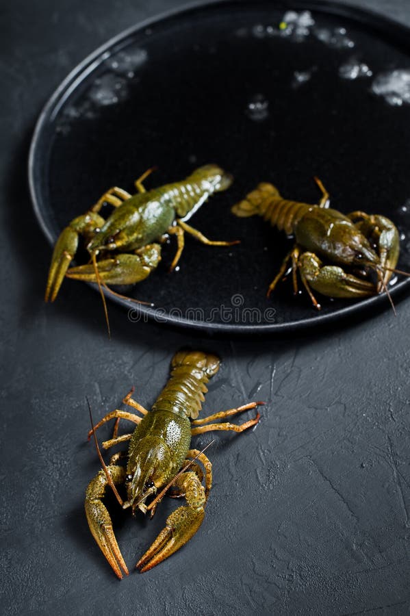 153 Crayfish Side View Stock Photos - Free & Royalty-Free Stock Photos ...