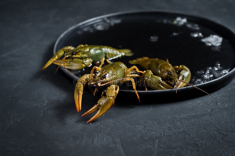 153 Crayfish Side View Stock Photos - Free & Royalty-Free Stock Photos ...