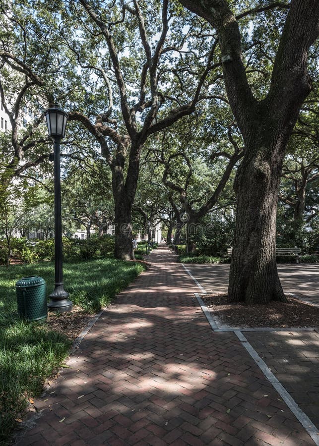 Live Oak Trees and Brick Path in Savannah Stock Photo - Image of green ...
