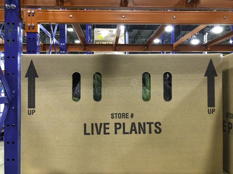Live Plants in Boxes at a Distribution Centre. Stock Image - Image of ...
