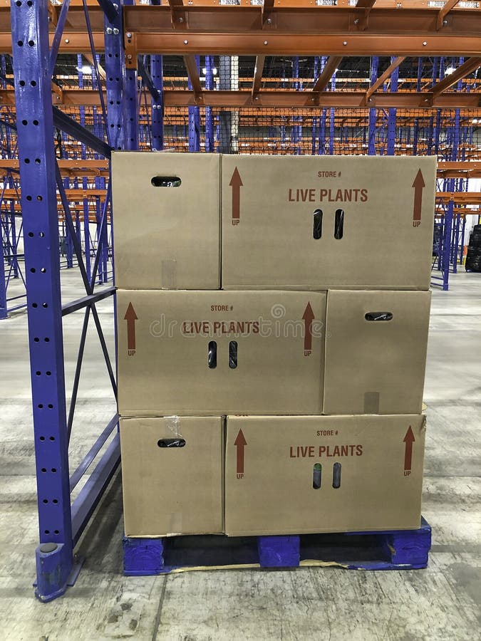 Live Plants in Boxes at a Distribution Centre. Stock Photo - Image of ...