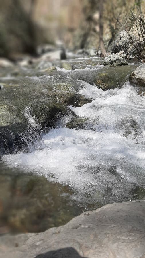 A live river stock image. Image of river, live, white - 227282197