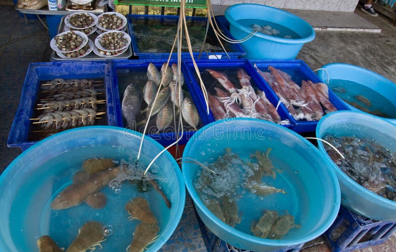 Live Seafood stock photo. Image of seafood, building - 29773390