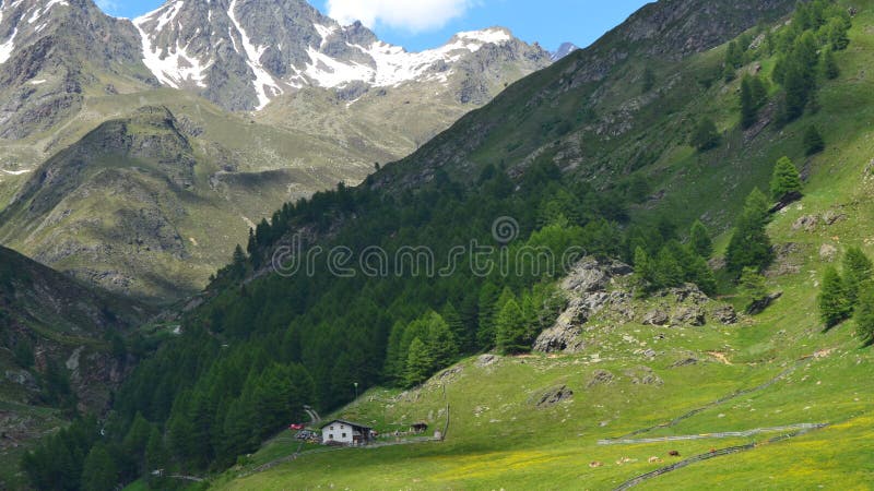 We Live between Two Mountains Stock Image - Image of alpine, mountain ...
