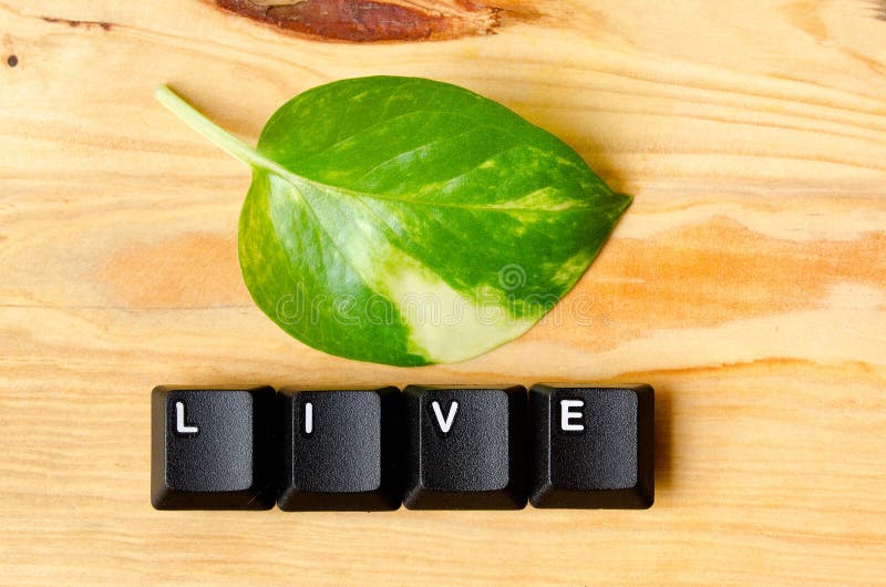 8,244 Live Word Stock Photos - Free & Royalty-Free Stock Photos from ...